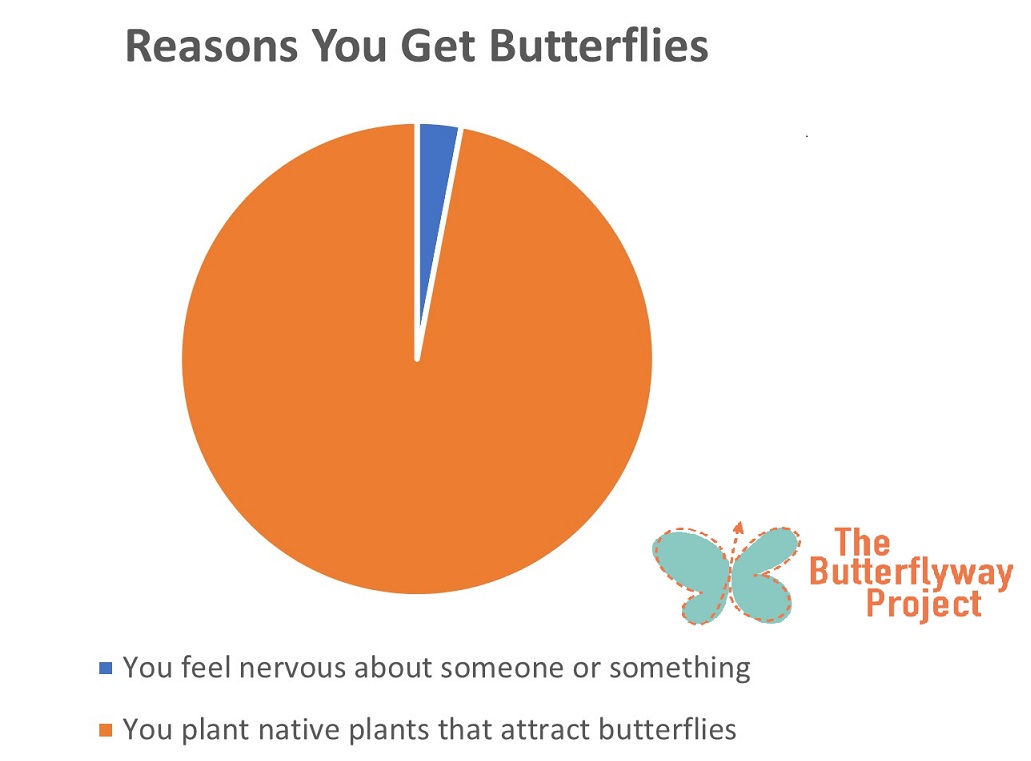 Contact / Volunteer – The Guildwood Butterflyway Project